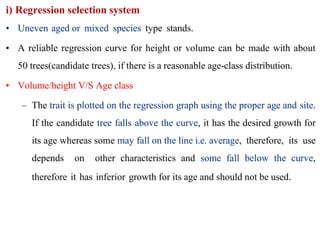 plus tree selection.pptx