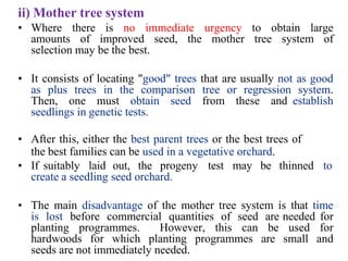 plus tree selection.pptx