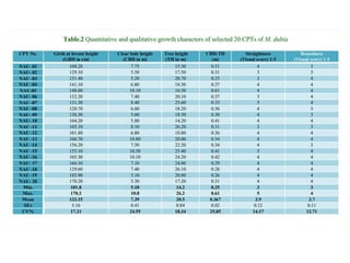 plus tree selection.pptx