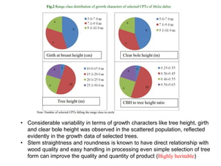 plus tree selection.pptx
