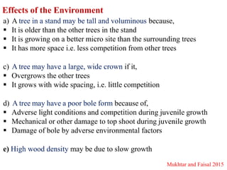 plus tree selection.pptx