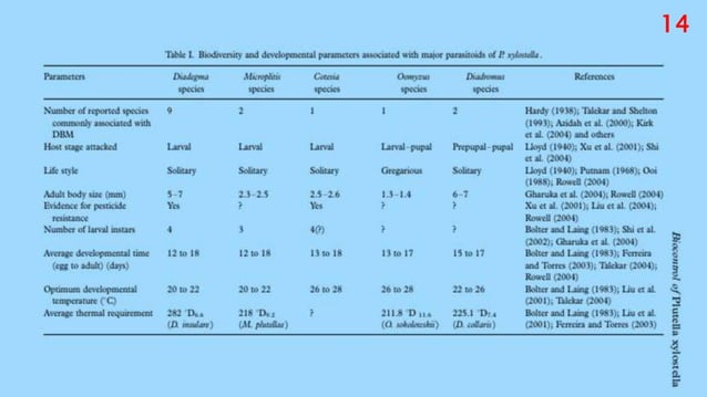 plutella xylostella.pptx