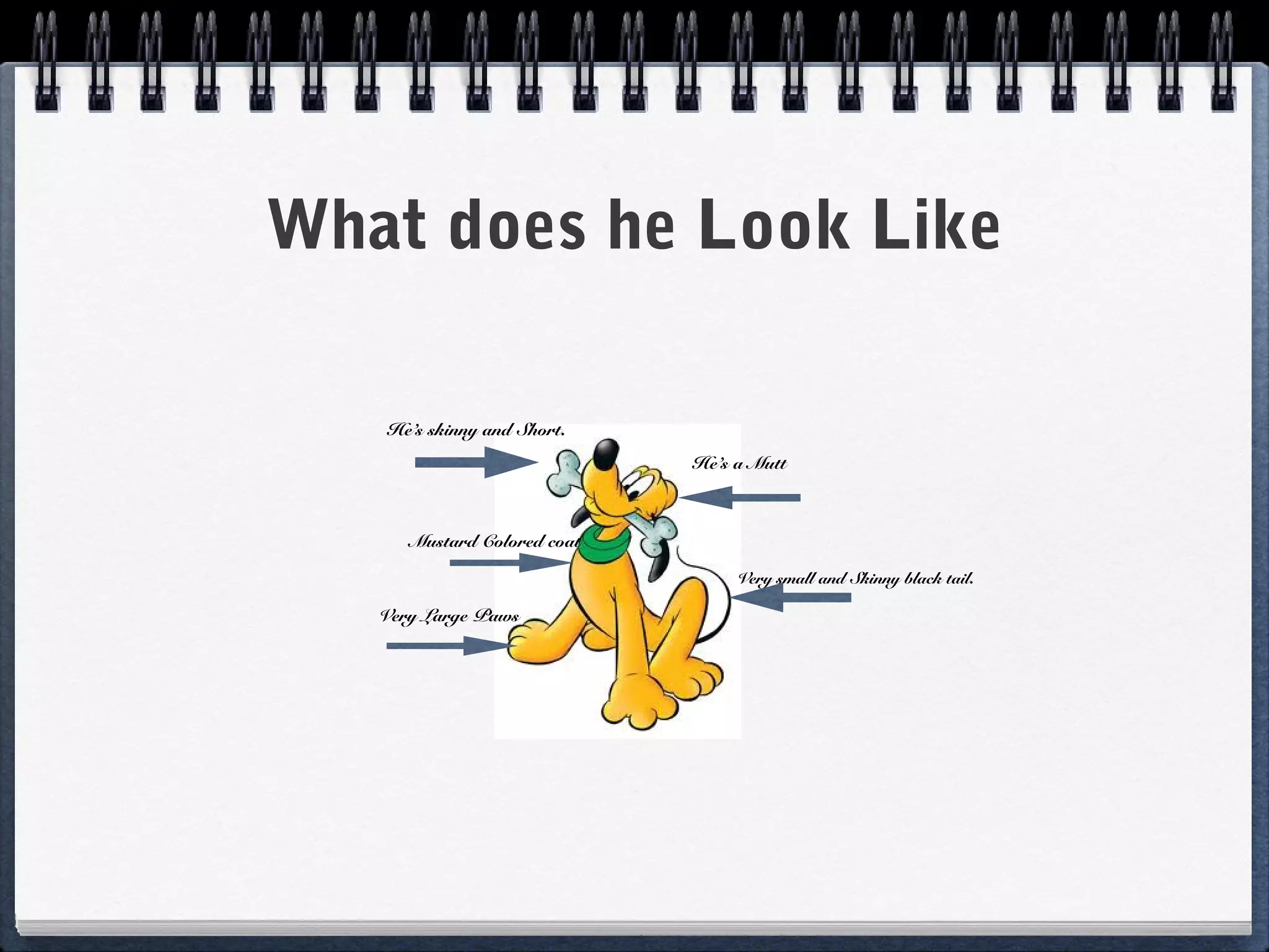 Pluto the character for powers | PPT | Pets