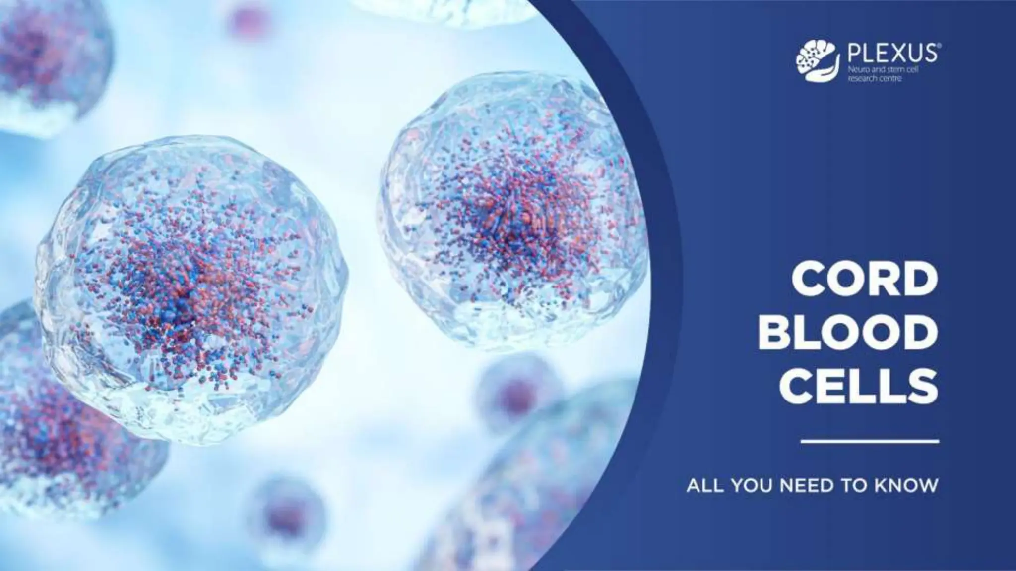 PL x Plexus - Cord Blood Cells - PPT - January 2024 .pptx