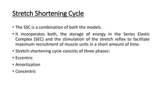 METHODS OF PLYOMETRIC TRAINING IN HUMAN ATHLETES | PPTX | Physical ...