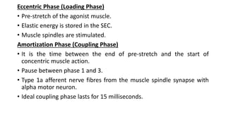 METHODS OF PLYOMETRIC TRAINING IN HUMAN ATHLETES | PPTX | Physical ...
