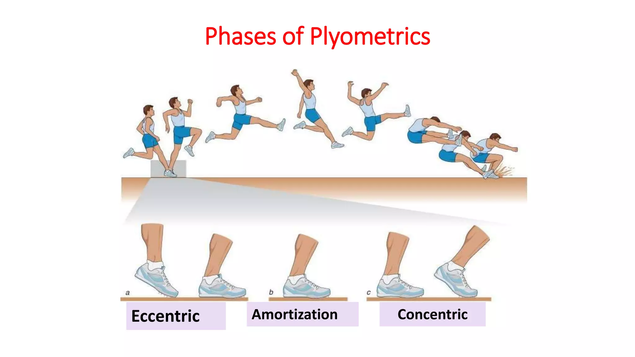 Plyometric anatomy | PPTX