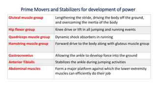 Plyometric anatomy | PPTX
