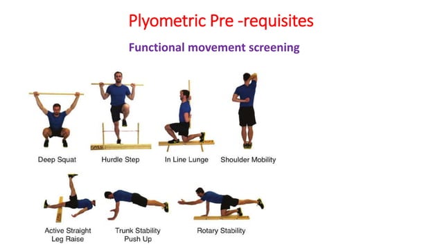 Plyometric anatomy | PPTX | Physical Therapy | Wellness