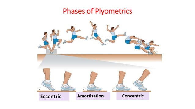 Plyometric anatomy