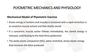 Plyometric | PPTX