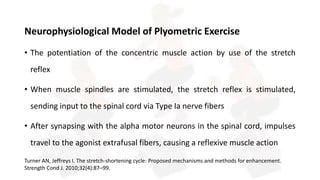 Plyometric | PPTX