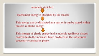 Plyometrics | PPTX