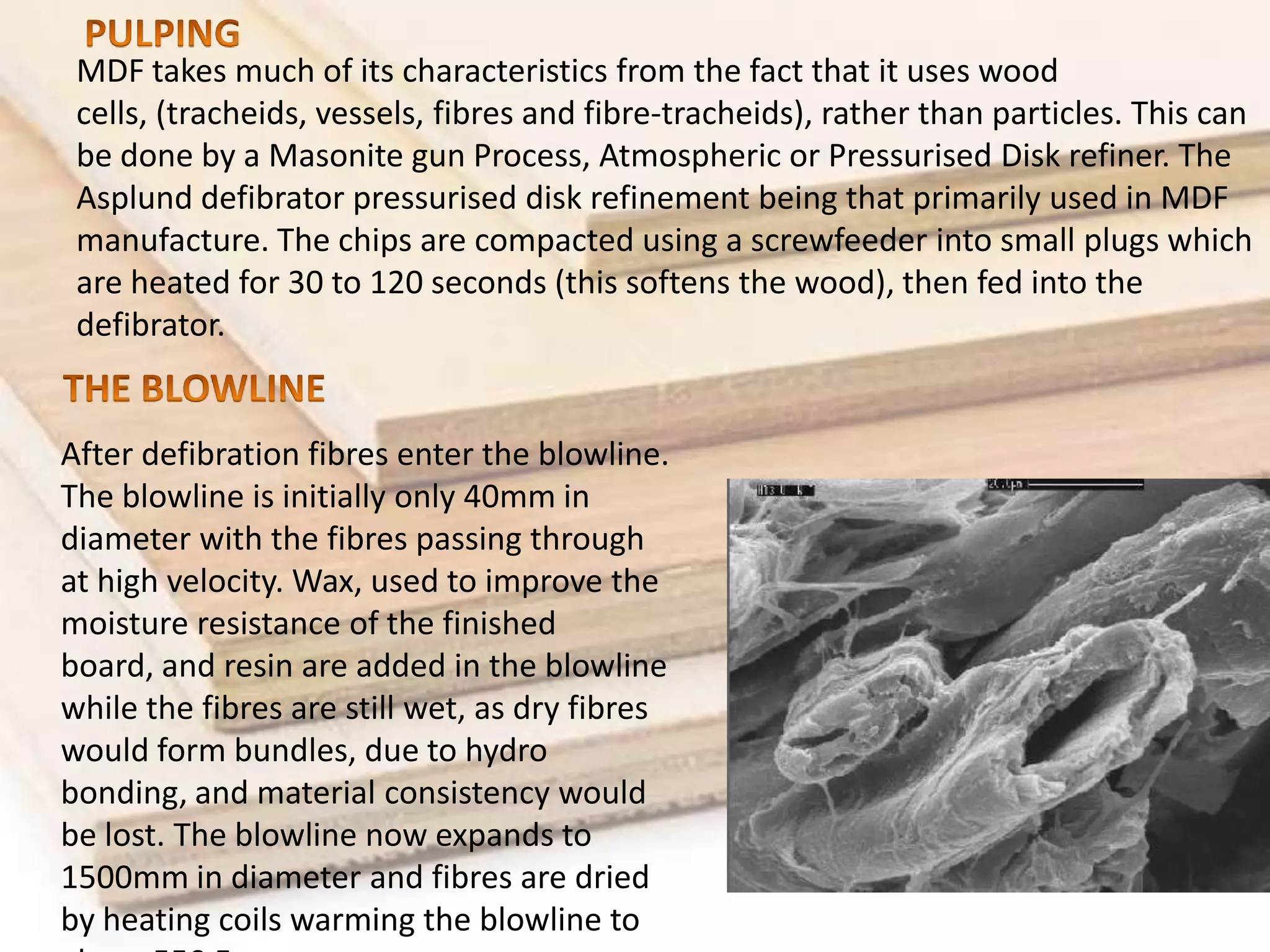 Market Survey on Plywood | PPTX