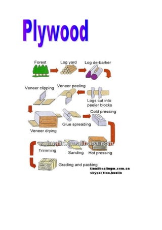 process of Plywood | DOC