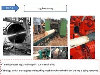 Plywood manufacturing | PPTX