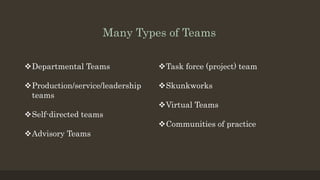 PM-208-Report-Team-Dynamics.pptx