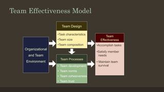 PM-208-Report-Team-Dynamics.pptx