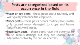 PM-6 major categories of insect.pptx