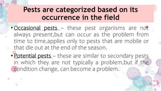 PM-6 major categories of insect.pptx