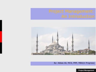 Introduction to Project Management | PDF