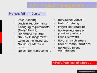 Introduction to Project Management | PDF