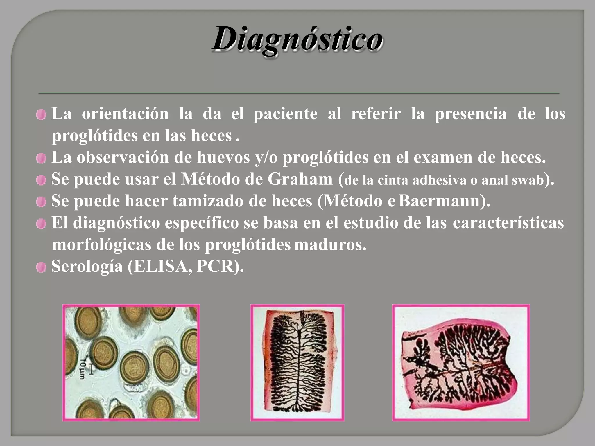 teniasis-cisticercosis | PPT