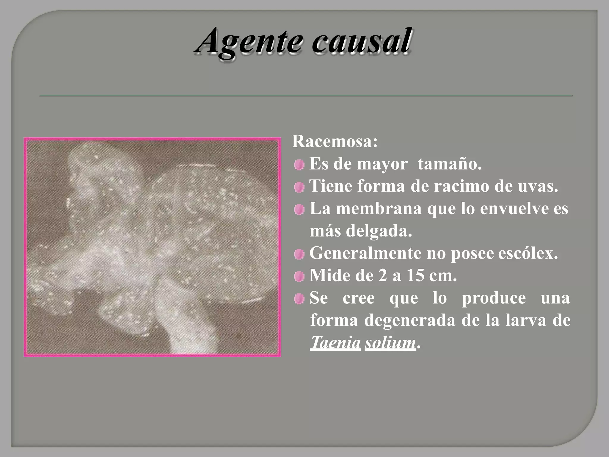 teniasis-cisticercosis | PPT
