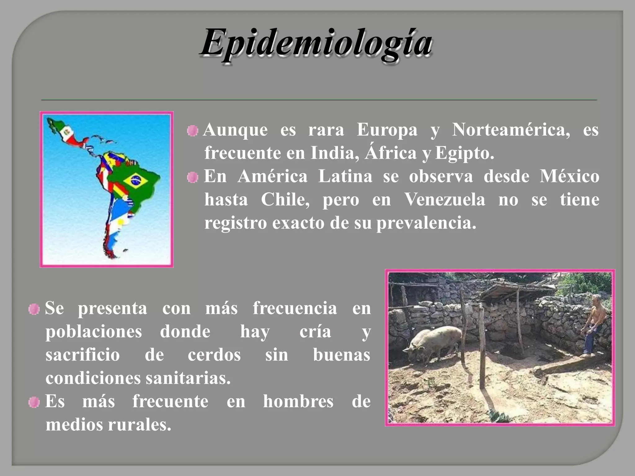 teniasis-cisticercosis | PPT