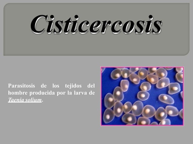 teniasis-cisticercosis | PPT