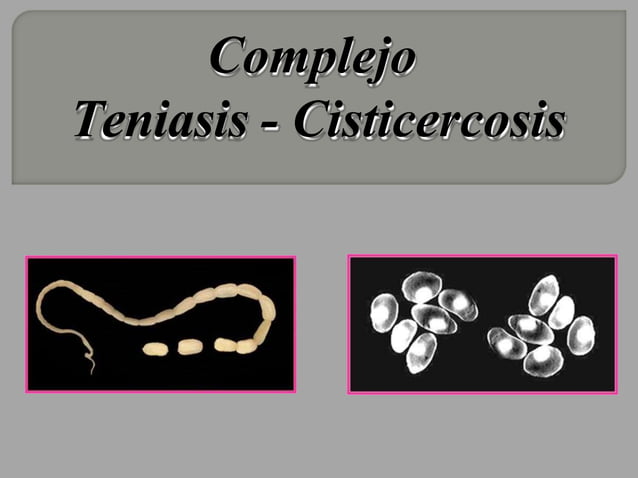 teniasis-cisticercosis | PPT