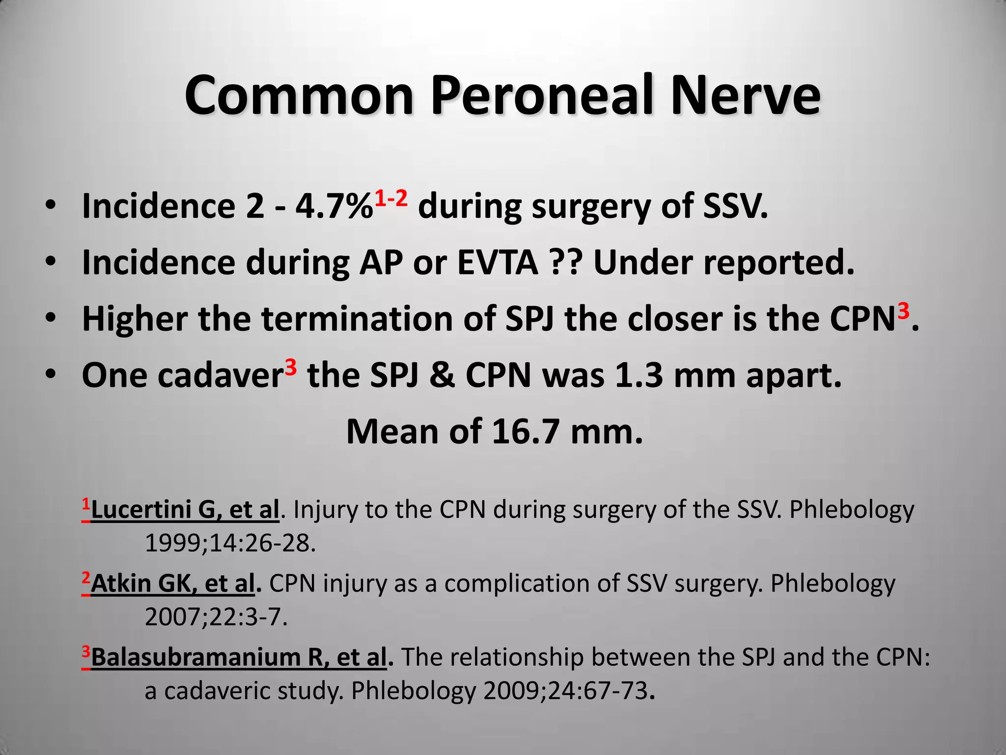 The Important Nerves During Venous Ablation | PDF