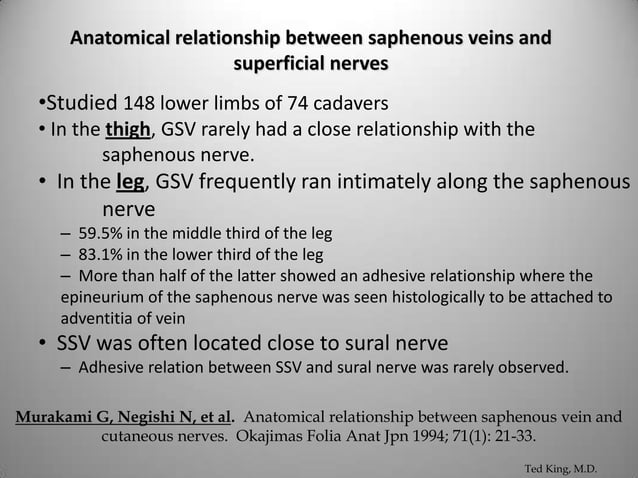 The Important Nerves During Venous Ablation | PPT