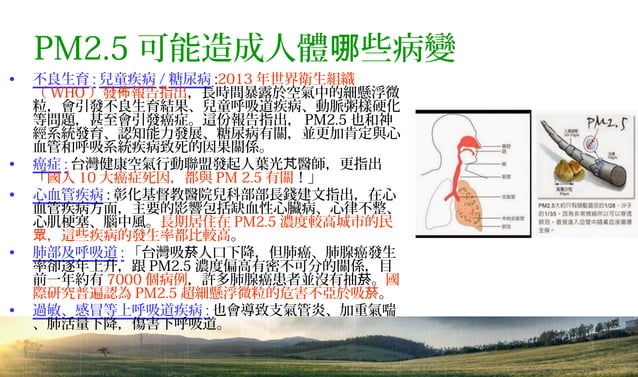 Pm2.5 健康城市對抗pm2.5 | PPT | Lung and Respiratory Health | Diseases and Conditions