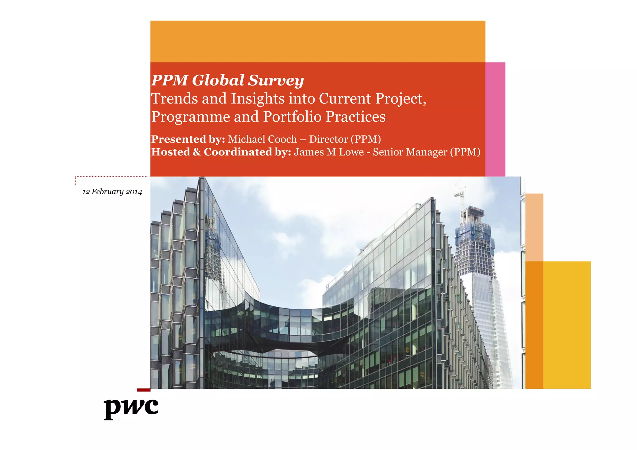 PPM Global survey (with outputs) | PDF