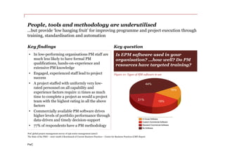 PPM Global survey (with outputs) | PDF