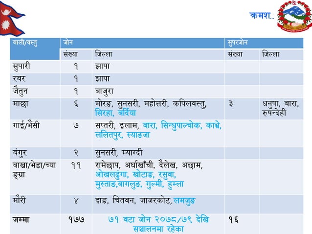 PMAMP Second Trimester Progress Report.pdf