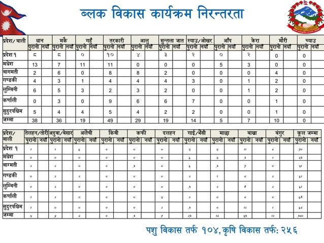 PMAMP Second Trimester Progress Report.pdf