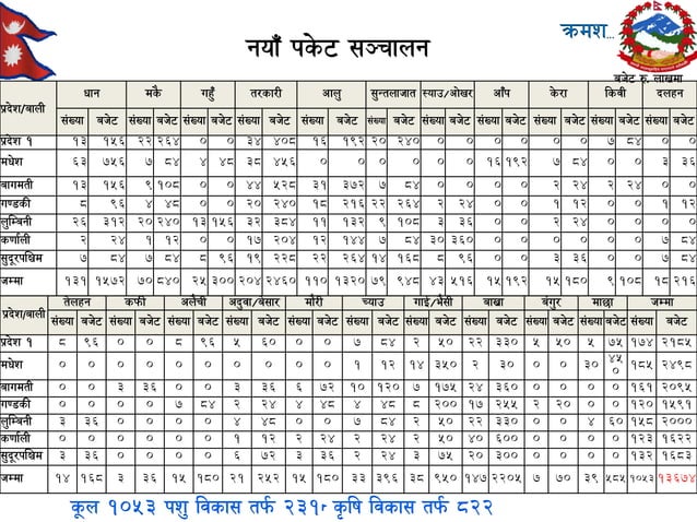 PMAMP Second Trimester Progress Report.pdf