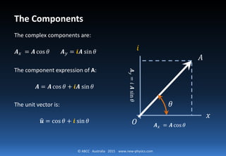 PM [B06] Complex Polar Coordinates | PDF