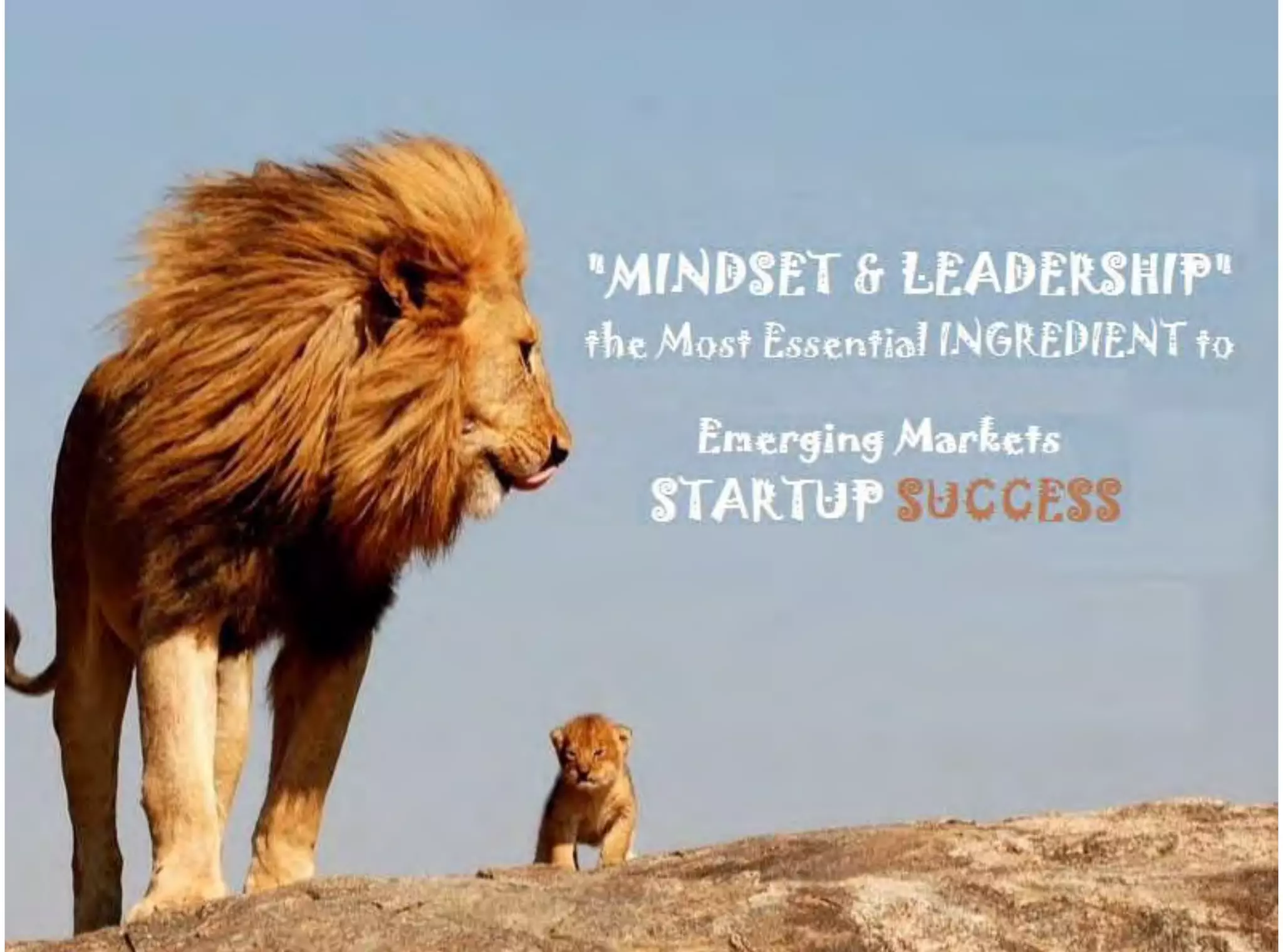 PMB 201 Leadership Mindset | PPT
