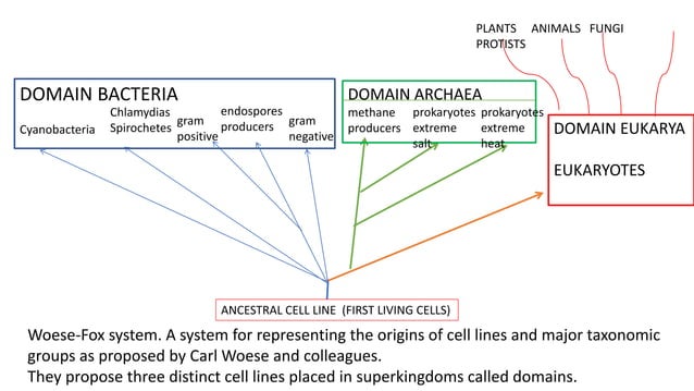 PMB 221 INTRODUCTION TO PHARMACEUTICAL MICROBIOLOGY.pptx