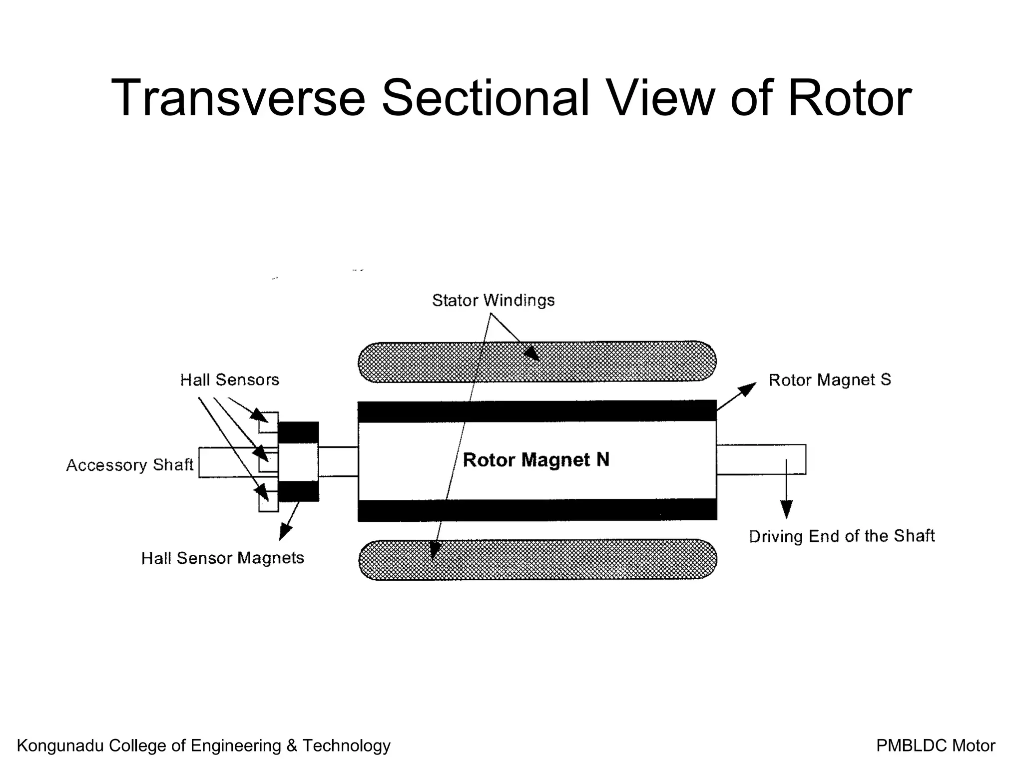 PMBLDC motor | PPT
