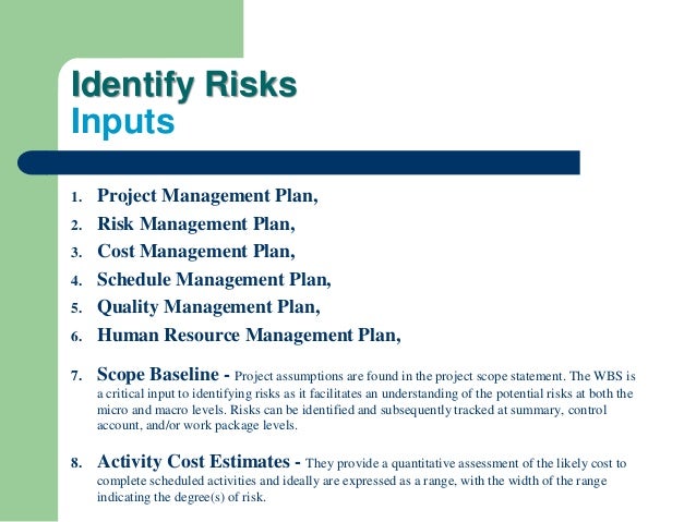 PMBOK Risk Management Process