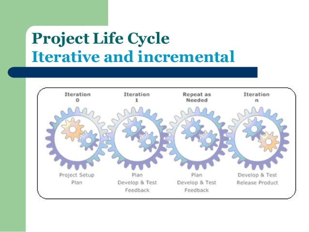 PMBOK_5th_Project Management Framework