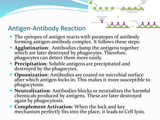 Immunology | PPTX | Chemistry | Science