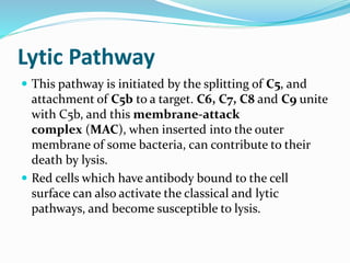 Immunology | PPTX | Chemistry | Science