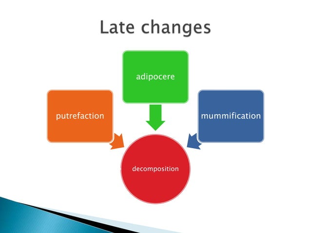 Post mortem changes | PPTX