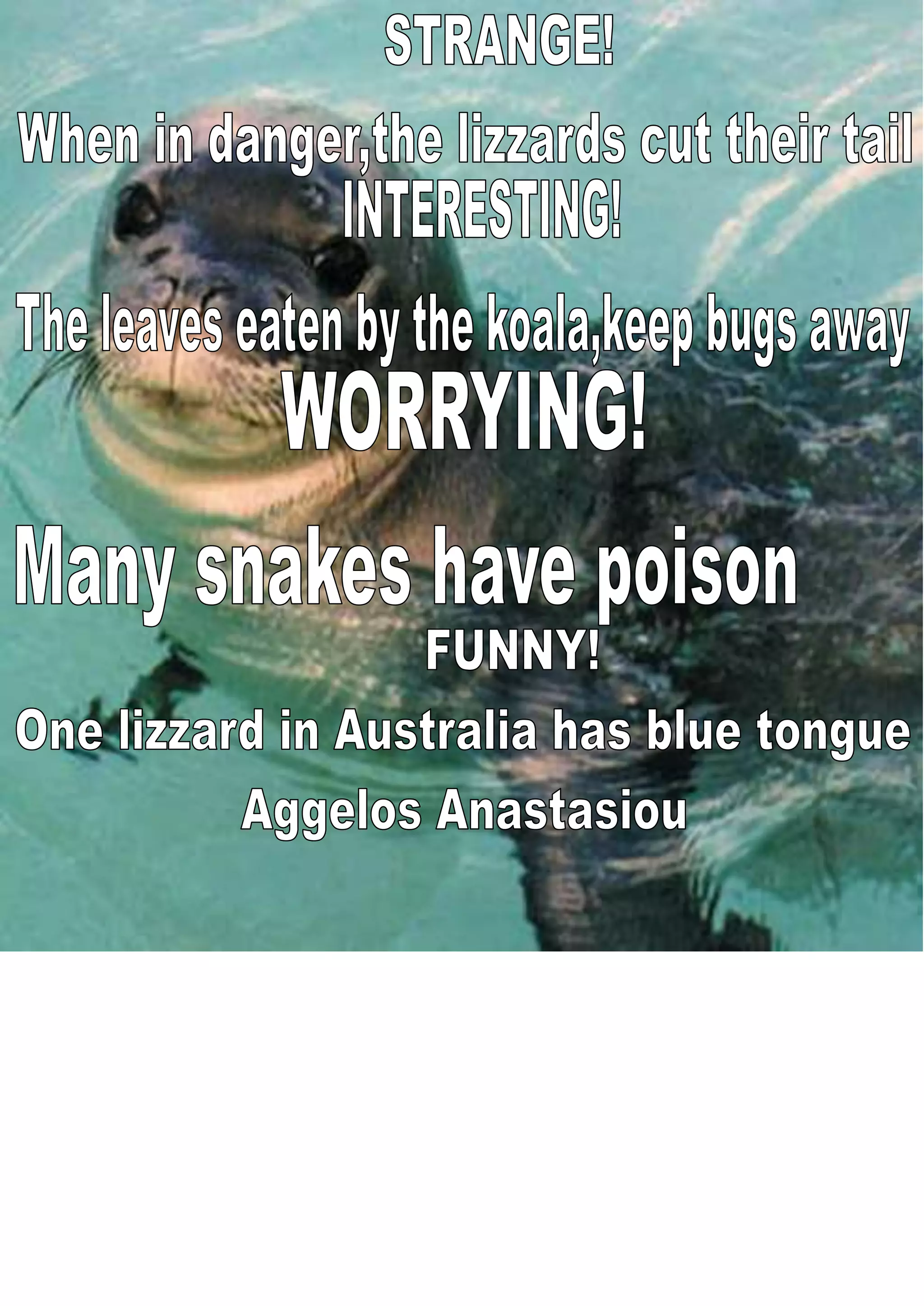 Strange-Interesting-worrying-funny | DOCX