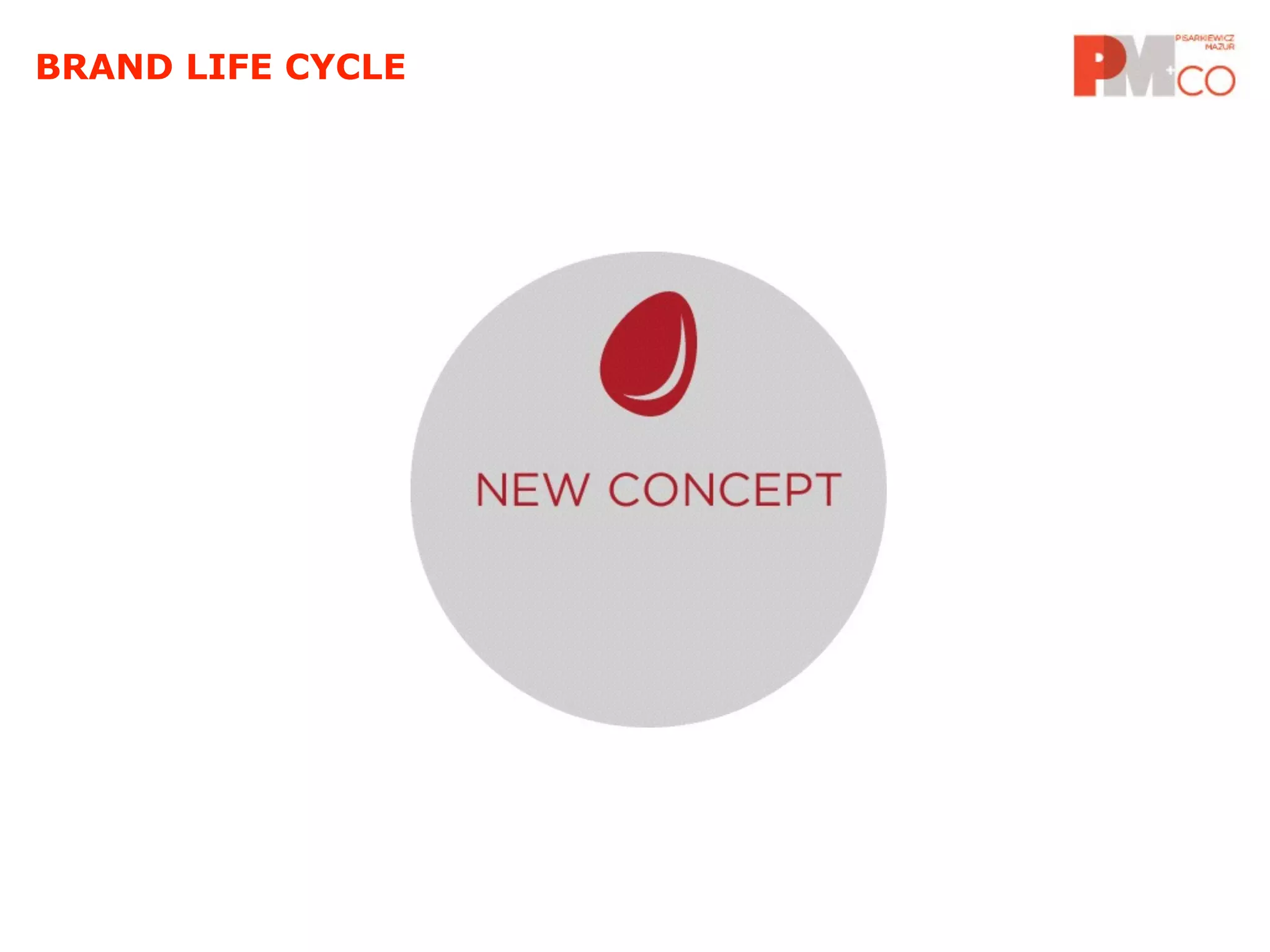 Timing is Everything: Understand a brand’s life cycle to ensure maximum ...